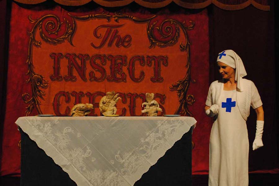 Insect Circus - freyawatson