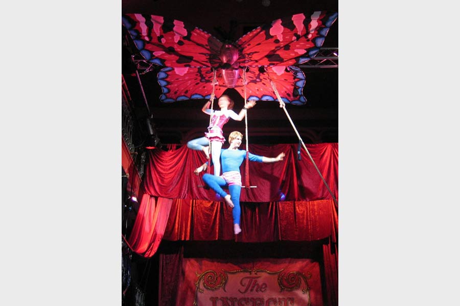 Insect Circus - freyawatson